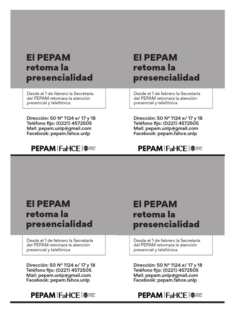 Volante Info PEPAM | PDF