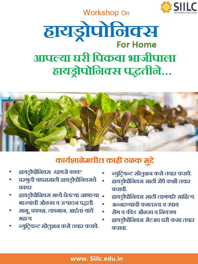 Hydroponics Brochure Ads | PDF