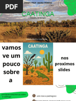 Animais Da Caatinga | PDF