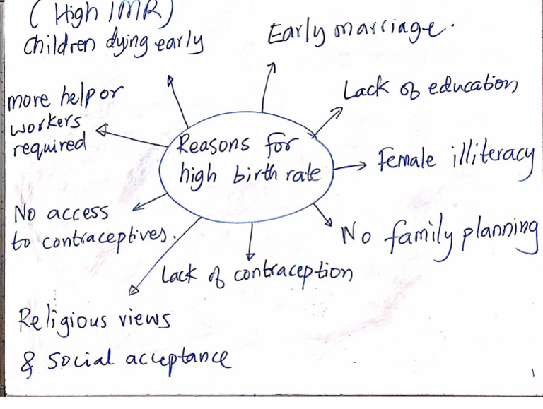 Resons For High Birth Rates | PDF