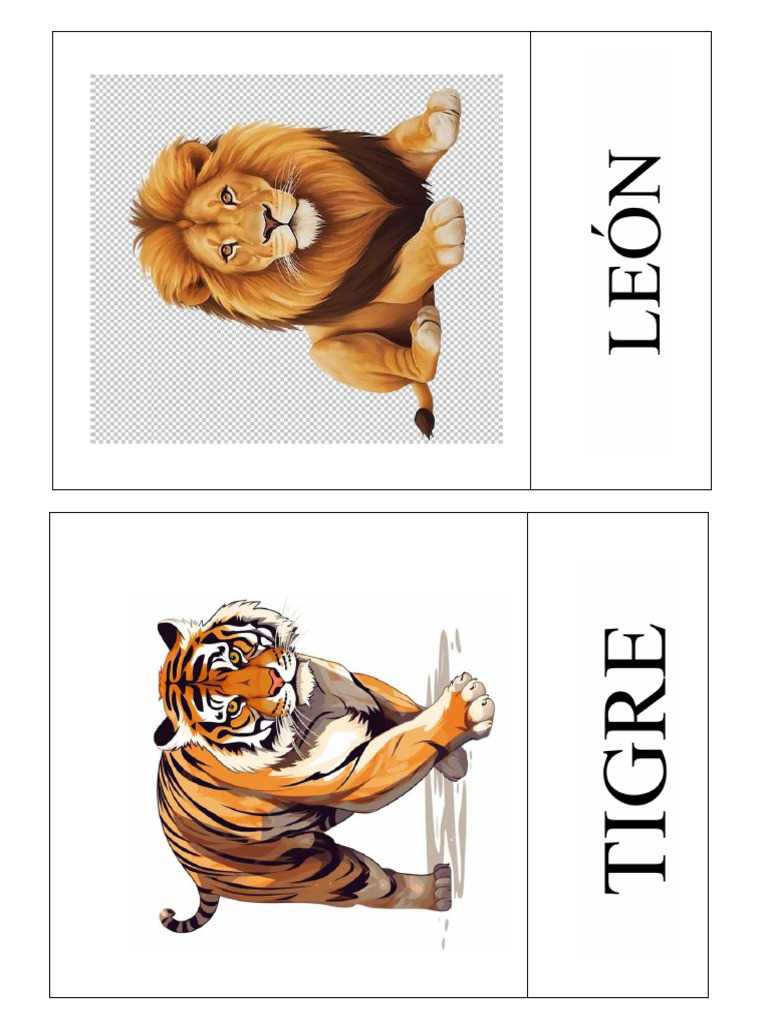 Fichas de estímulos visuales 3 | PDF