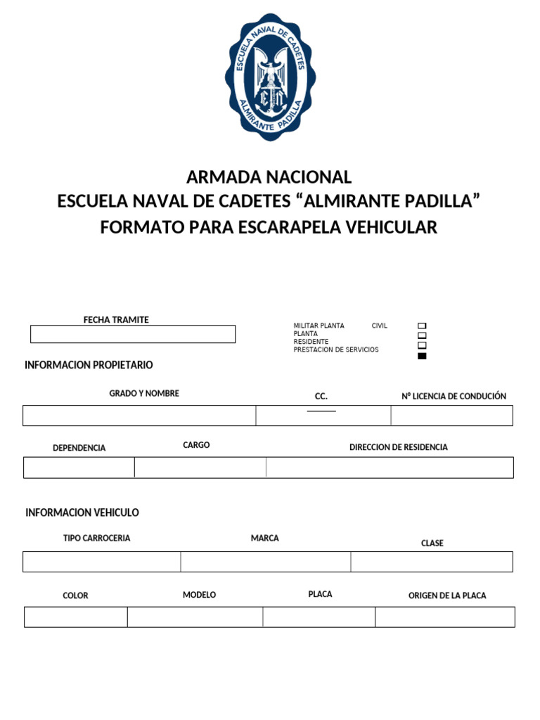 Formato Vehicular | PDF
