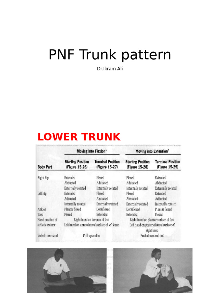 PNF 3 new-1 | PDF