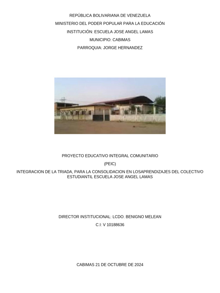 fbfe60b6-8b80-4ad7-b37e-451840b61e75 | PDF | Análisis FODA | Aprendizaje