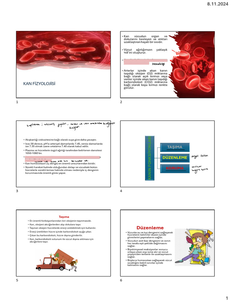Kan Fizyolojisi: Düzenleme | PDF