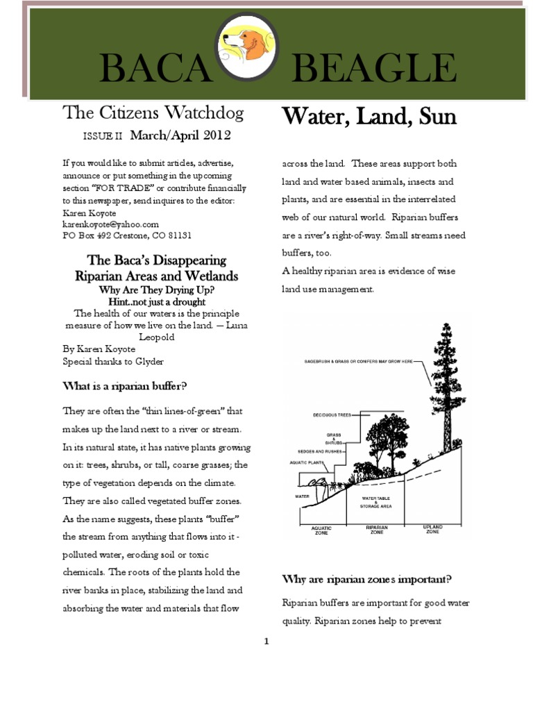 Baca Grande Wetlands Crisis Overview | PDF