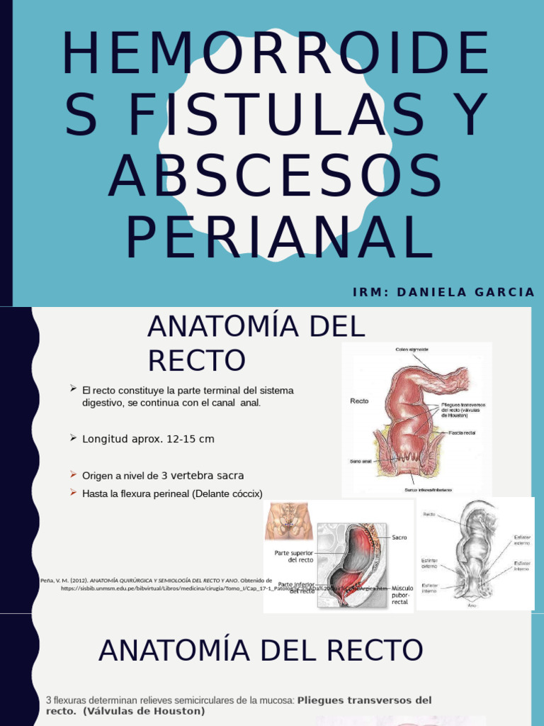 Anatomía y Tratamiento de Hemorroides | PDF | Hemorroides | Recto