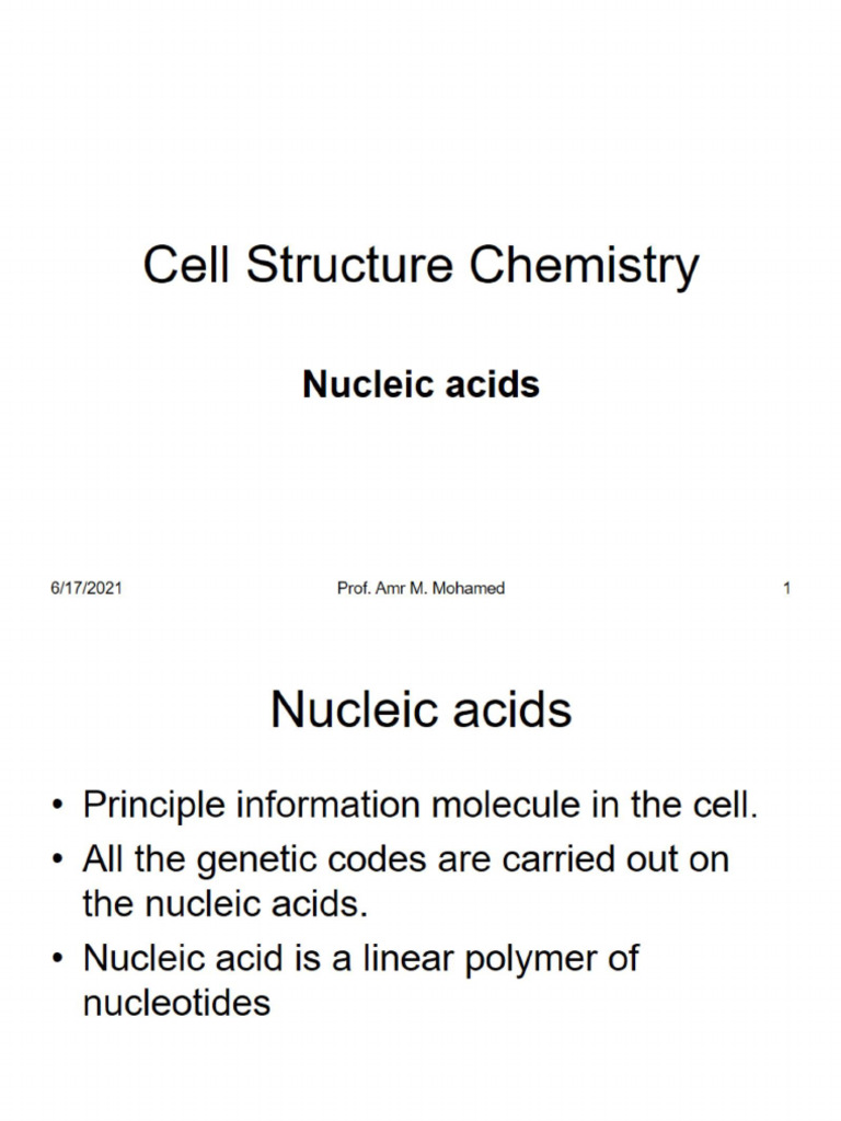 4 - Cell Structure Chemistry (DNA1) | PDF