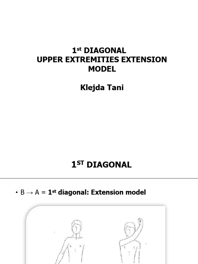 1st DIAGONAL Upper Extremities Extension Model | PDF | Anatomical Terms ...