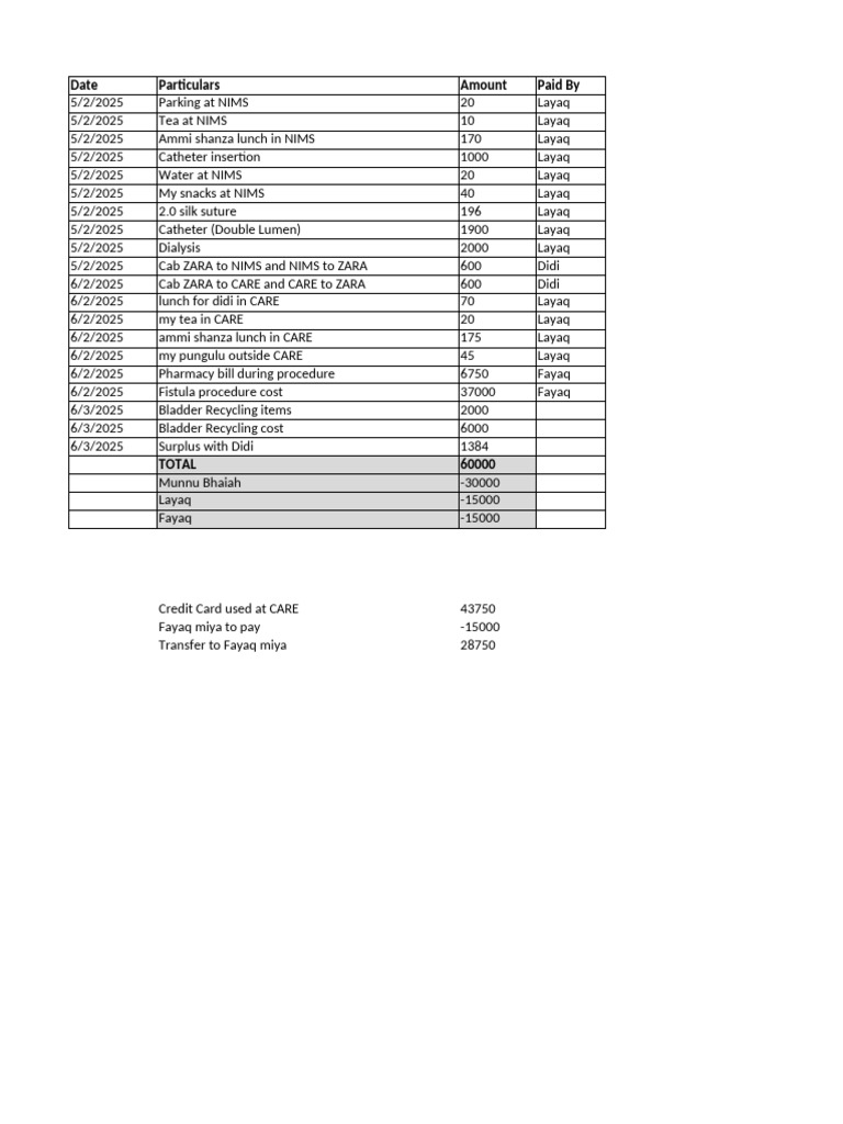 Fistulaplasty Expense Summary | PDF