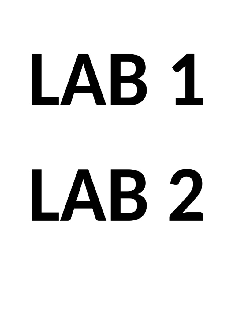 Lab 1 | PDF