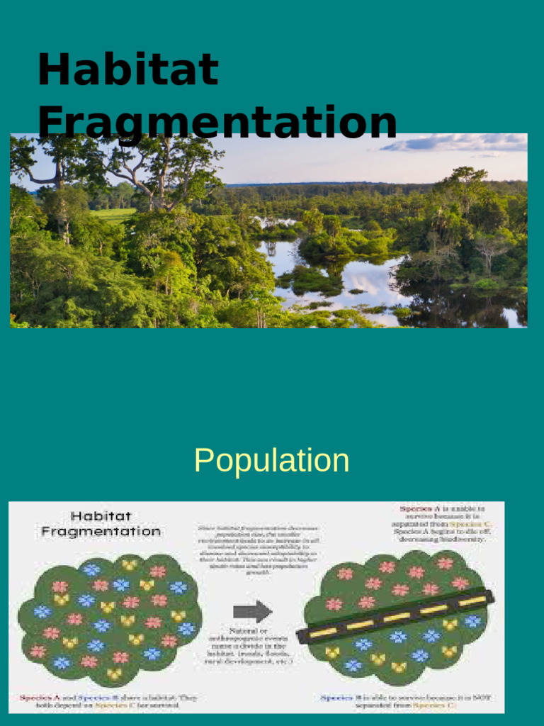 Ryan Habitat Fragmentation | PDF