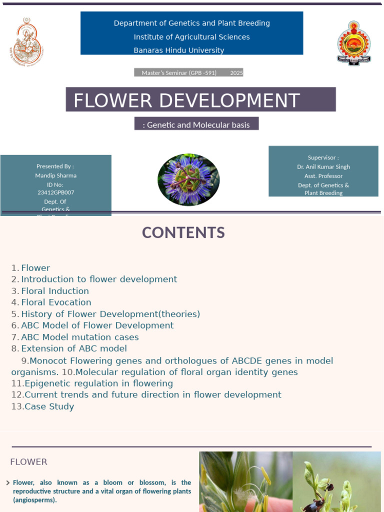 ABC Model of Flower Development Explained | PDF | Flowers | Biochemistry