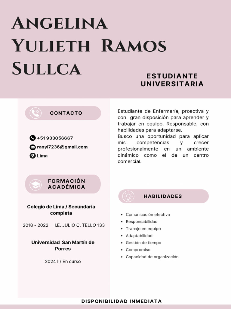 CV Angelina Ramos Sullca - 20241125 - 165234 - 0000 | PDF