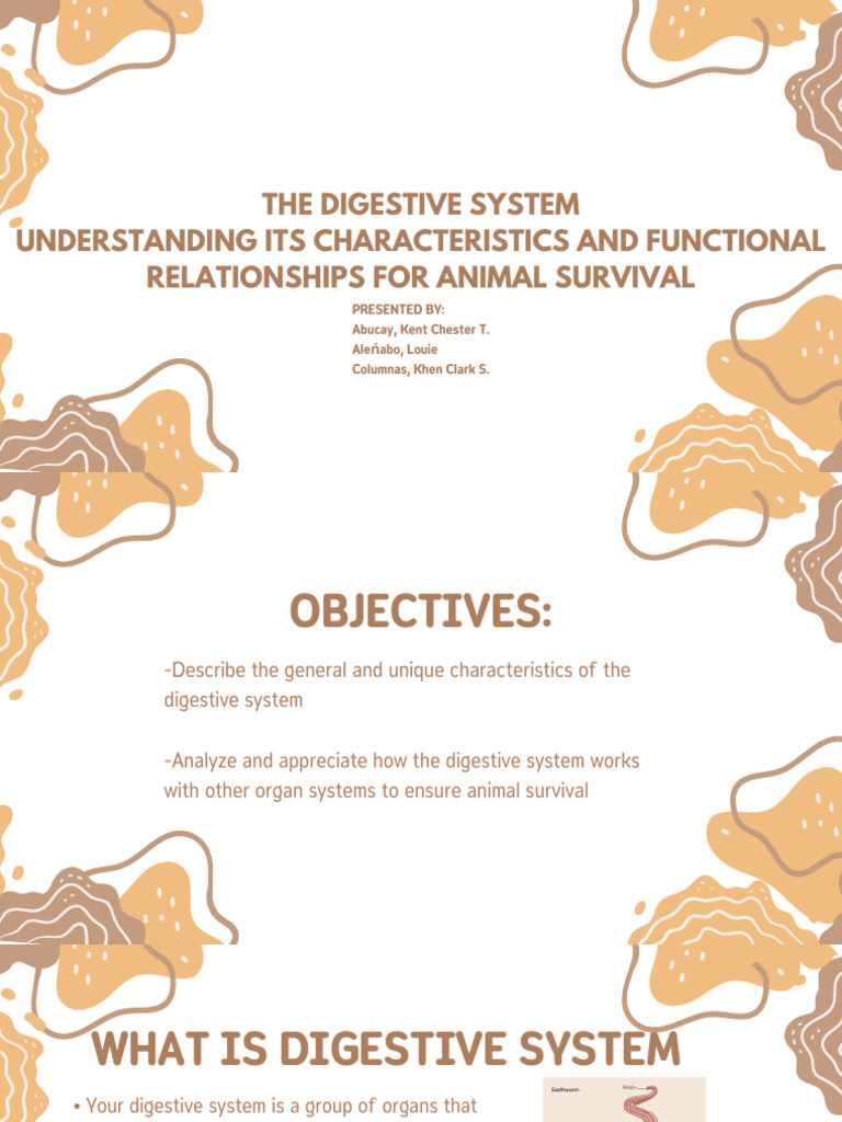 The Digestive System Understanding Its Characteristics and Functional Relat - 20250326 - 193451 ...