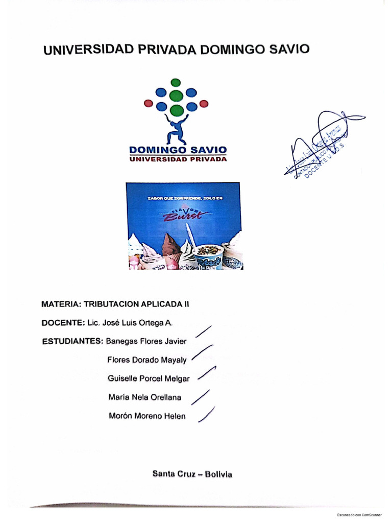 Proyecto Borrador | PDF