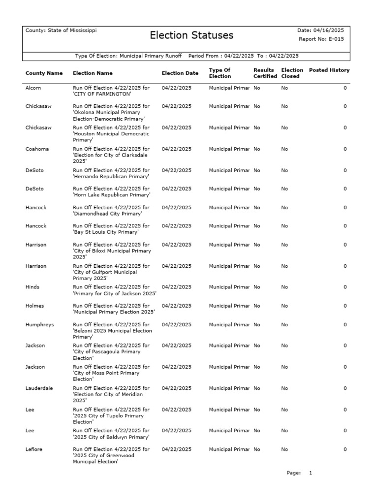 Municipal Primary Report | PDF | Political Science | Accountability