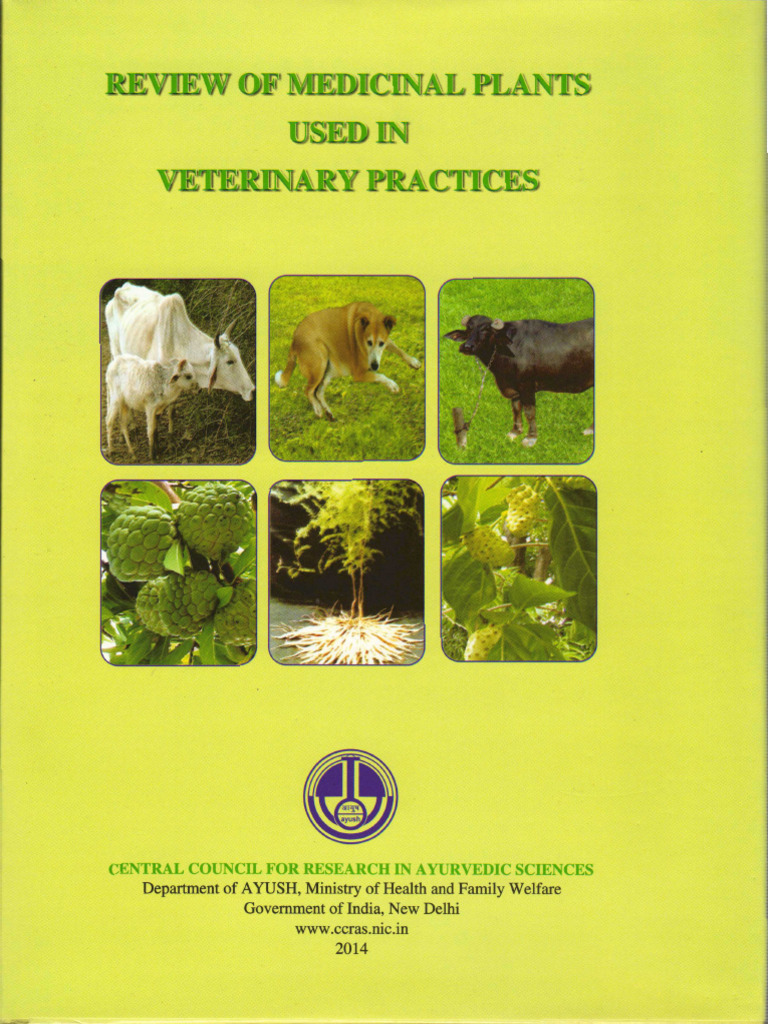 Medicinal Plants for Veterinary Care | PDF | Human Diseases And ...