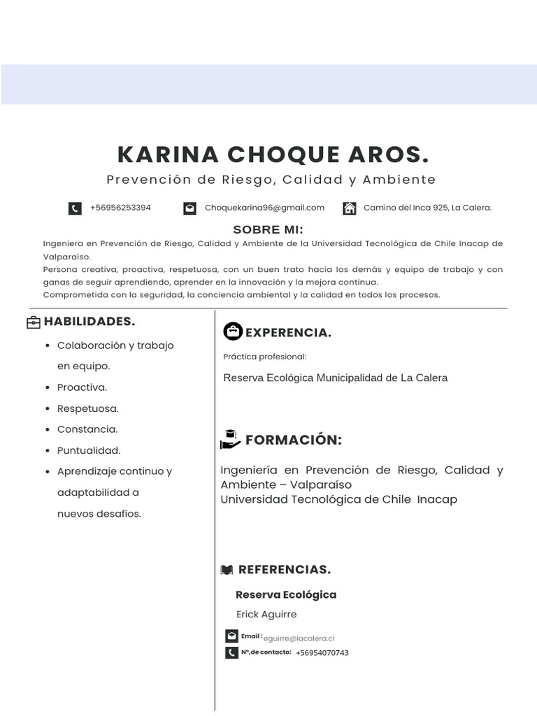 CV Karina | PDF