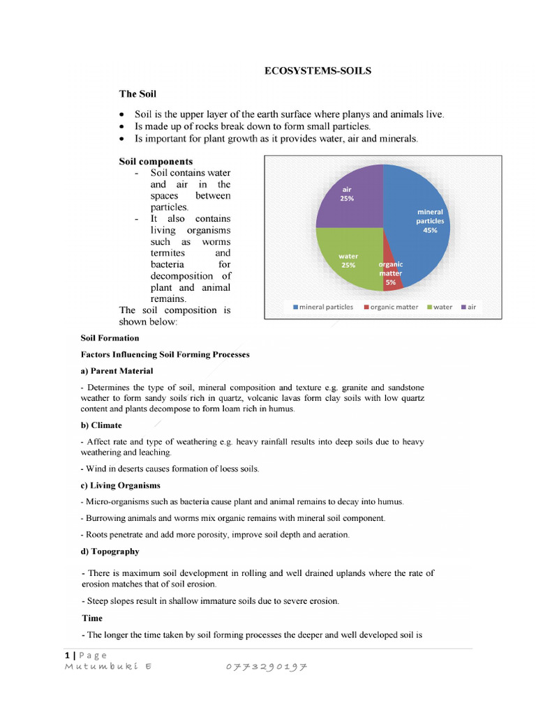 Ecosystems - Soils F4 | PDF