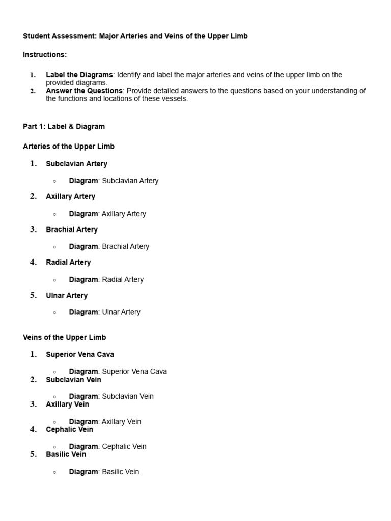 Upper Limb Arteries and Veins Guide | PDF