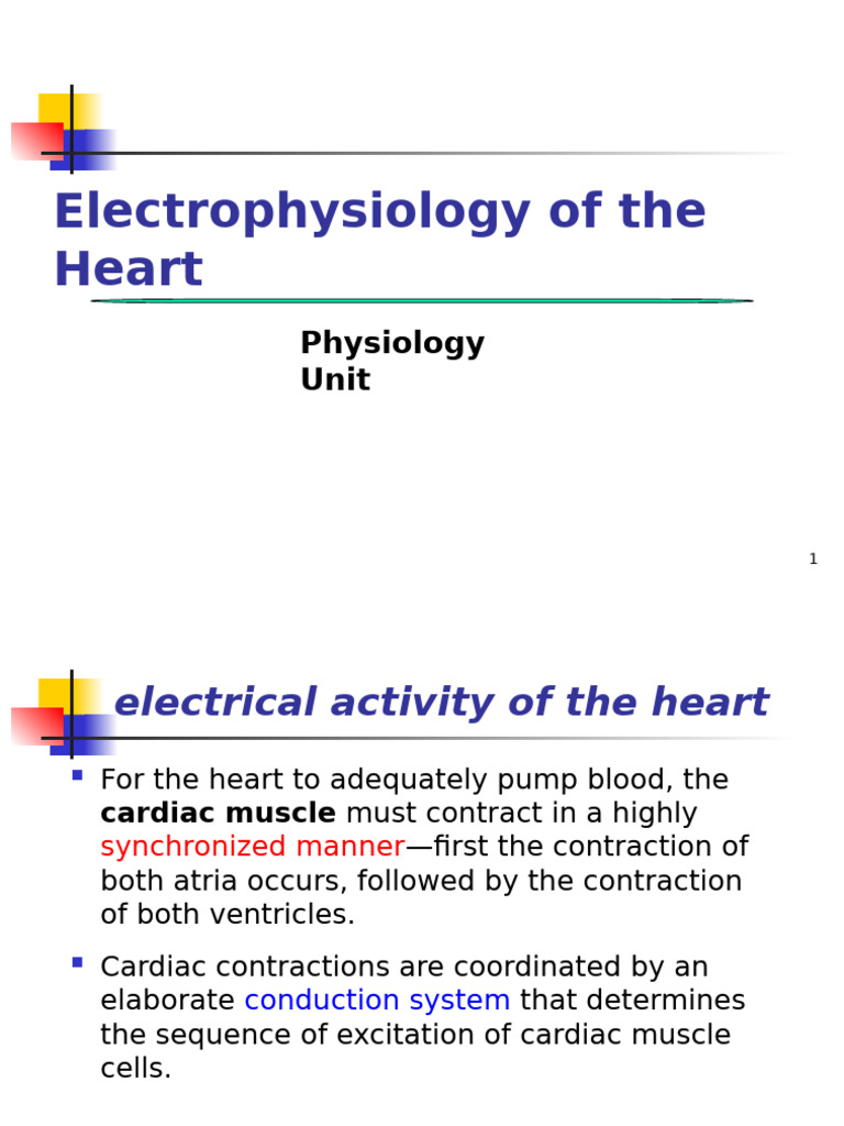 Electrophysiology of The Heart | PDF | Cardiac Muscle | Muscle Contraction
