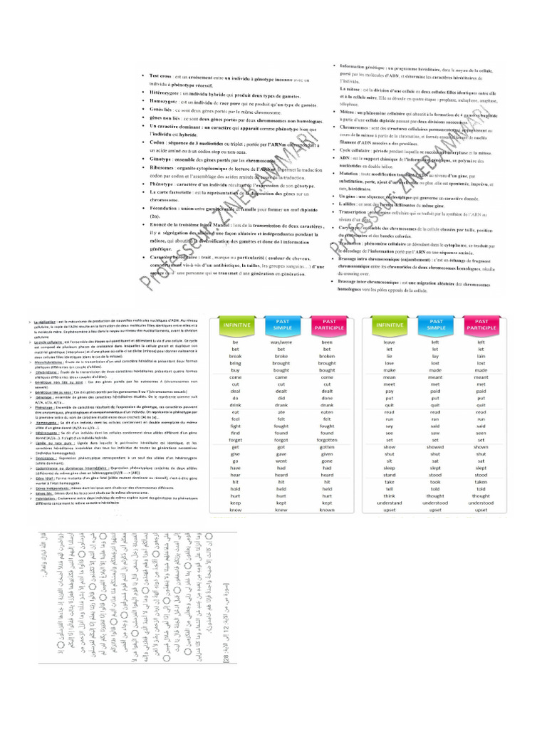 Document (11) SSSVT | PDF