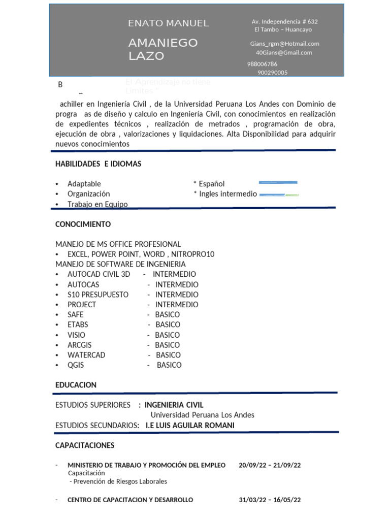 CV RENATO SL-1-1 | PDF | Ingeniería