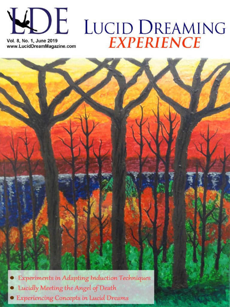 60fc41359a4682468fe6f21c - 2019 JUNE LDE - Web Version | PDF | Experience | Dream