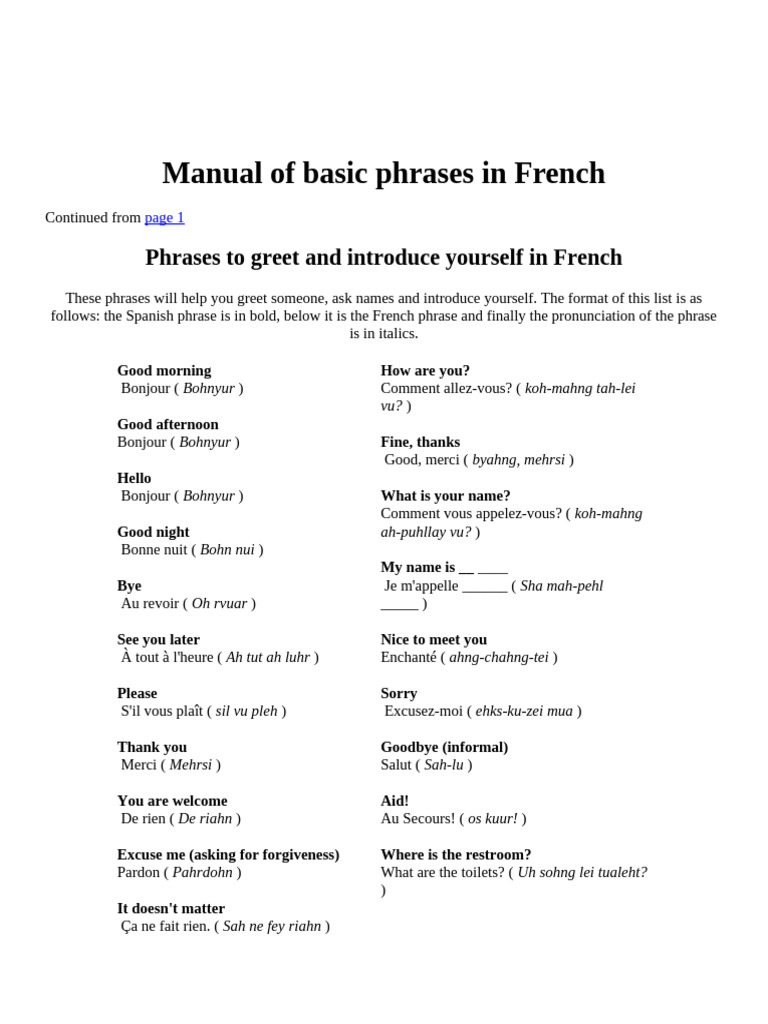 Manual of Basic Phrases in French | PDF