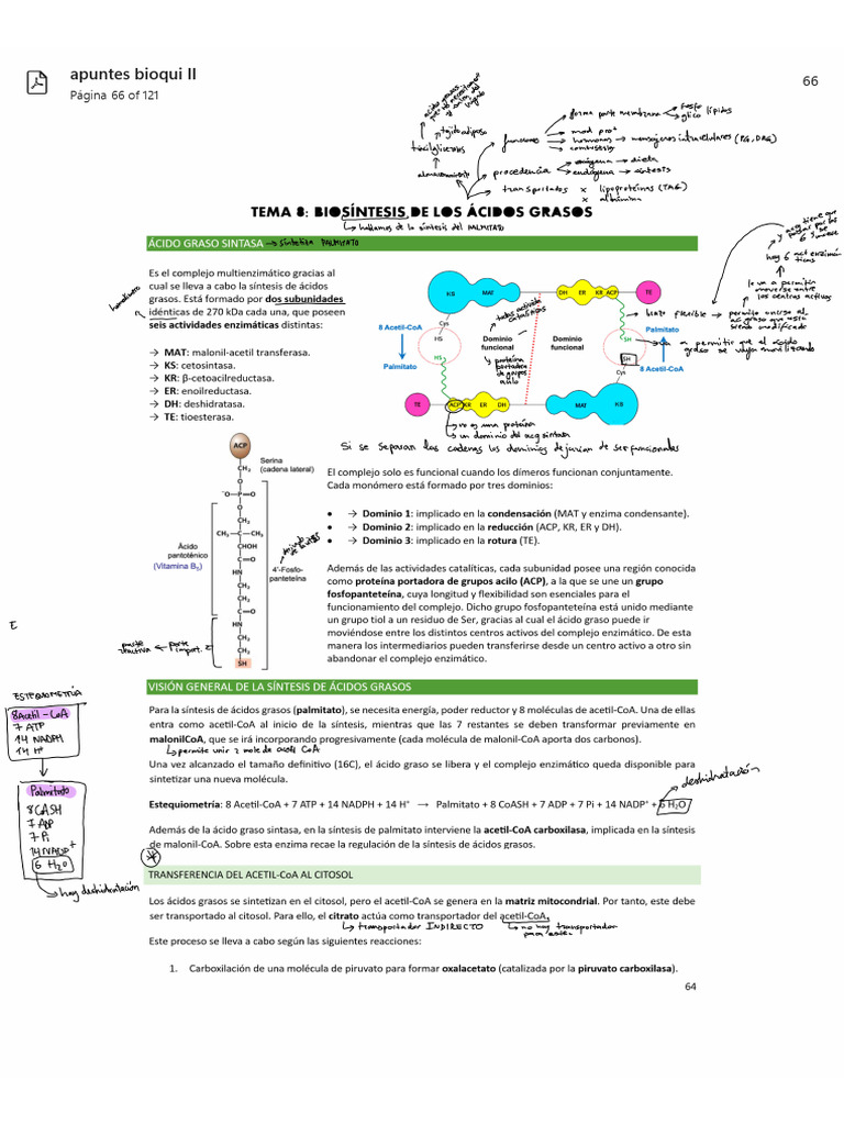 clase bioqui 2 | PDF