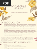 Poliaminas, Biosíntesis de Putrescina, Espermina, Espermidina | PDF ...