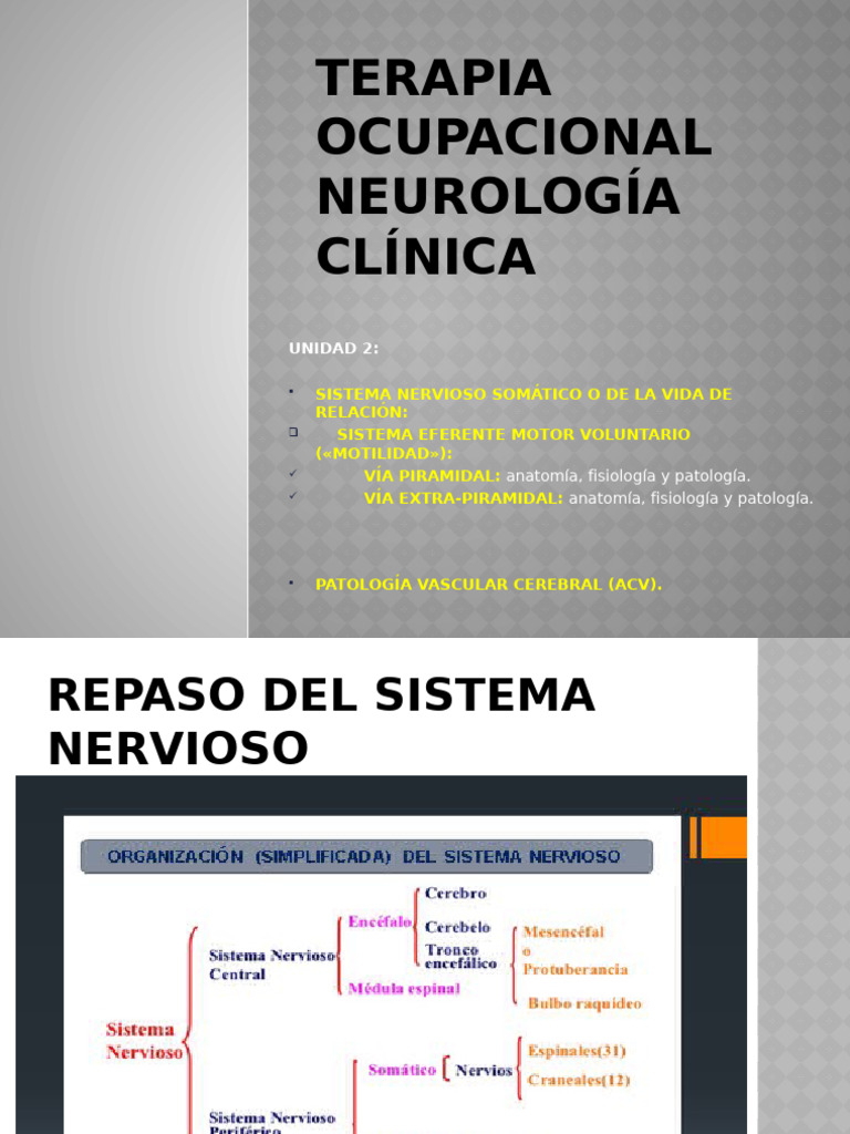 Sistema Motor Piramidal y Extra-Piramidal | PDF | Enfermedad de Parkinson | Cerebelo
