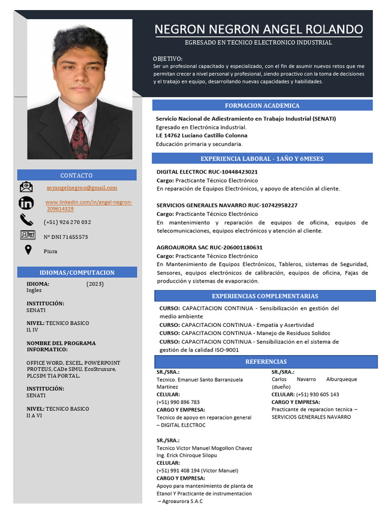 Curriculum Vitae Angel Negron | PDF