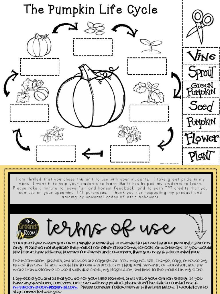 Pumpkinlifecycle 2 | PDF