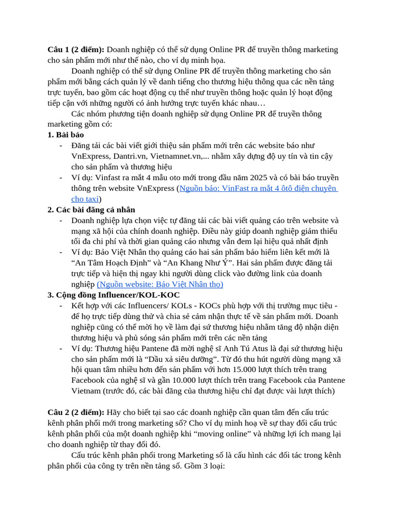 Digital Marketing Case Study | PDF