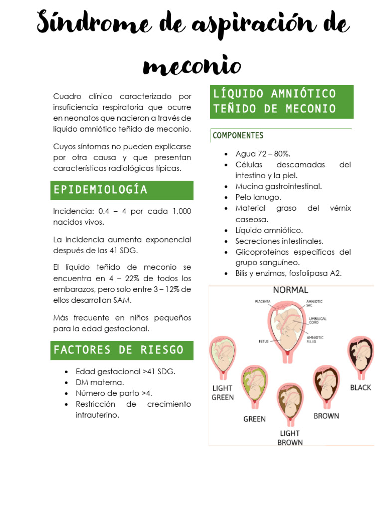 6. Síndrome de aspiración de meconio | PDF | Feto | Medicina CLINICA