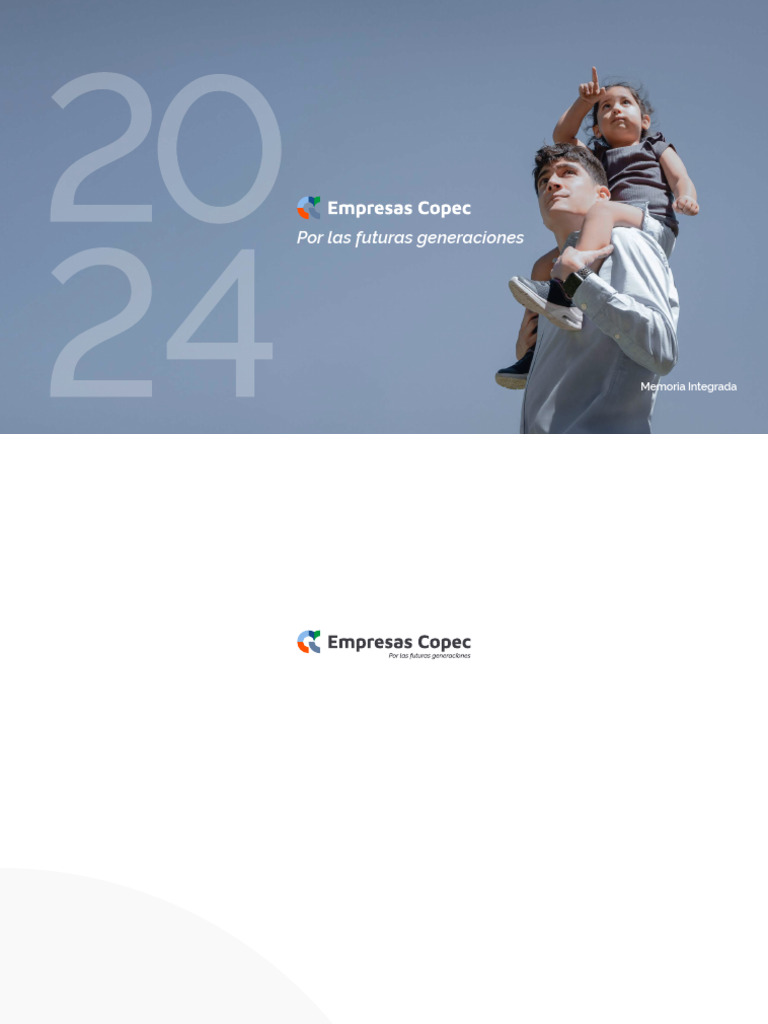 Memoria Integrada Ec 2024 | PDF | Economias