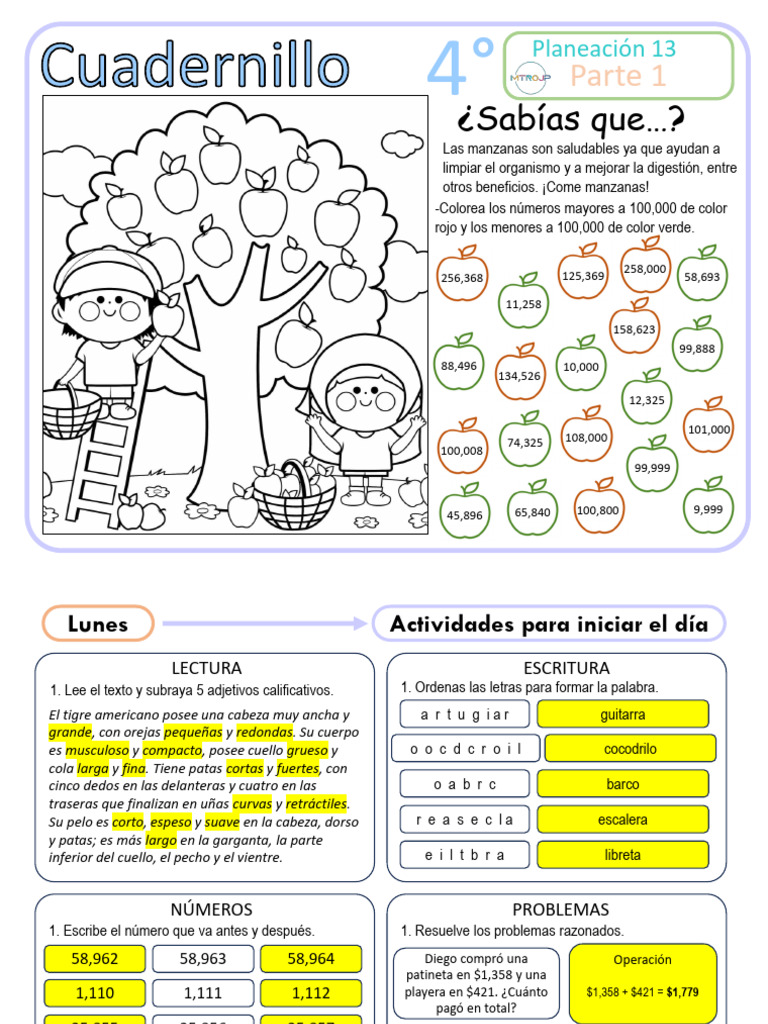 Solu Parte 1 4°-1 | PDF | Herbívoro | Carne