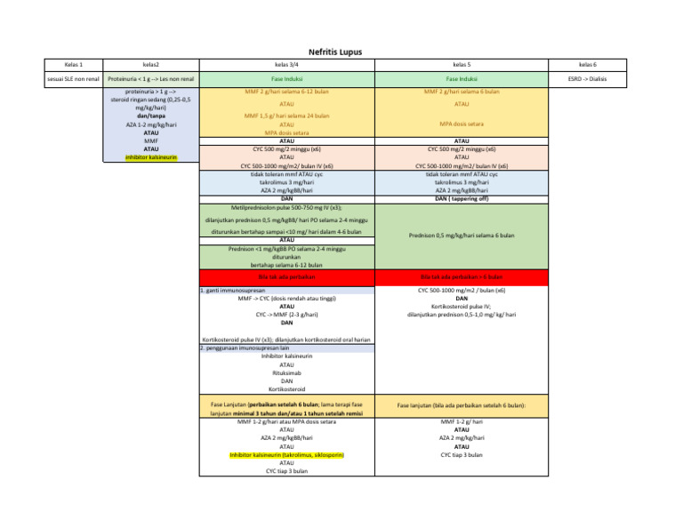 Terapi Nefritis Lupus (Tabel by Hanif) | PDF