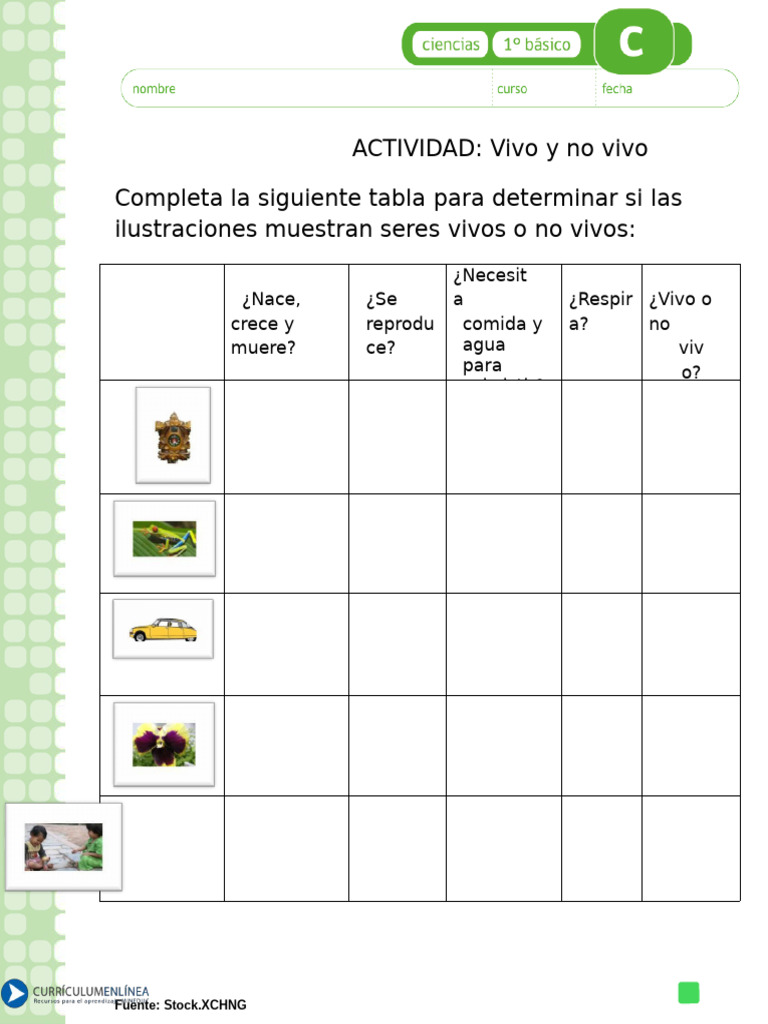 Guía 1 y 2 Seres Vivos y No Vivos | PDF