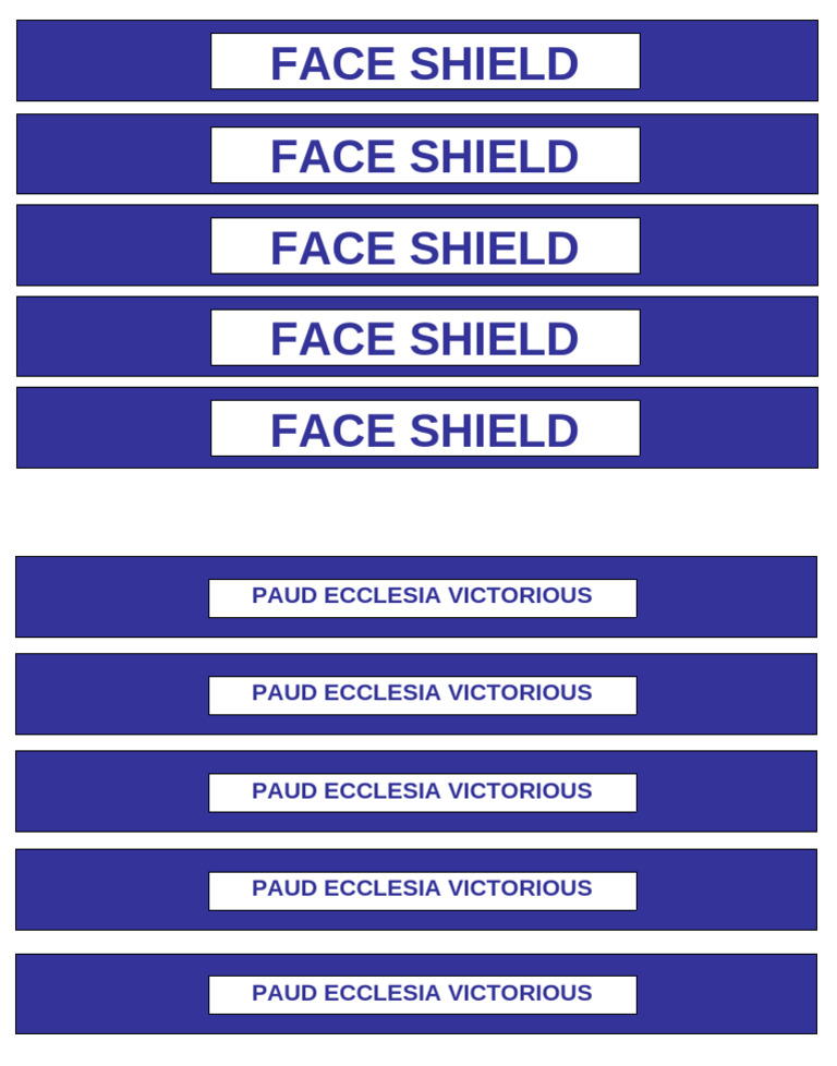 Face Shield | PDF