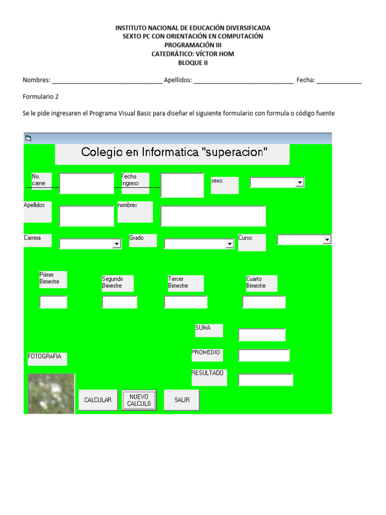 Formulario en Visual Basic para PC | PDF
