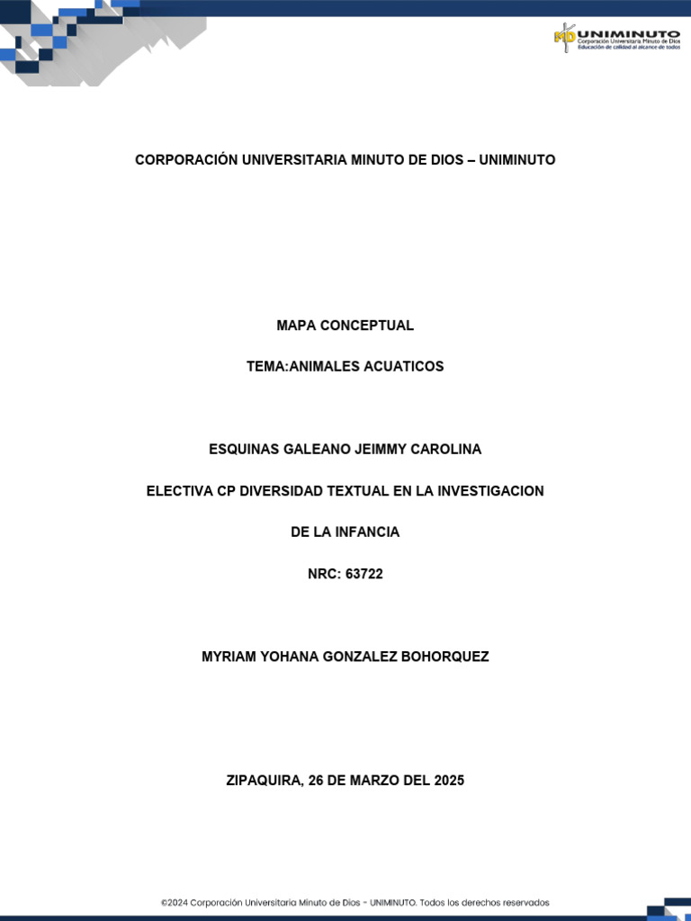 MAPA CONCEPTUAL Electiva | PDF