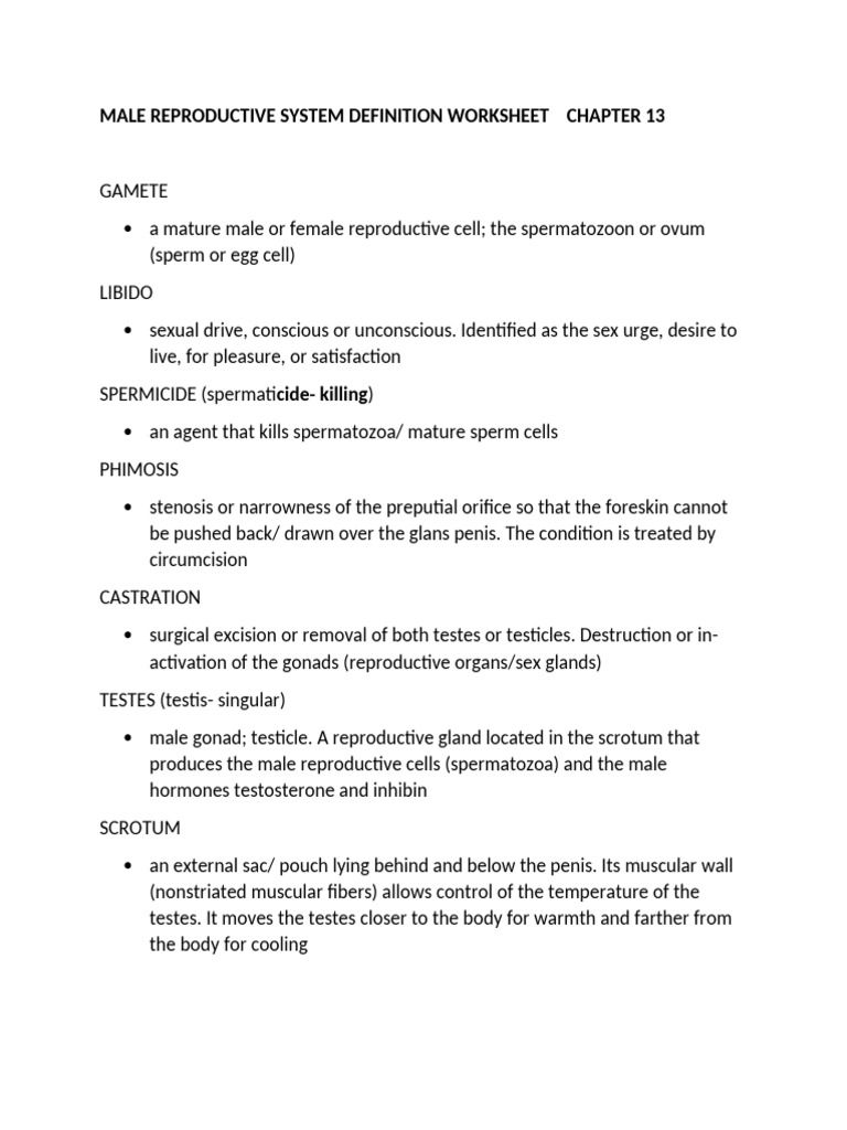 MT 2 Male Reproductive System Definition Worksheet Chapter 13 | PDF ...