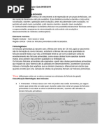 L08 - Escala de Tanner Feminina | PDF | Puberdade | Infância