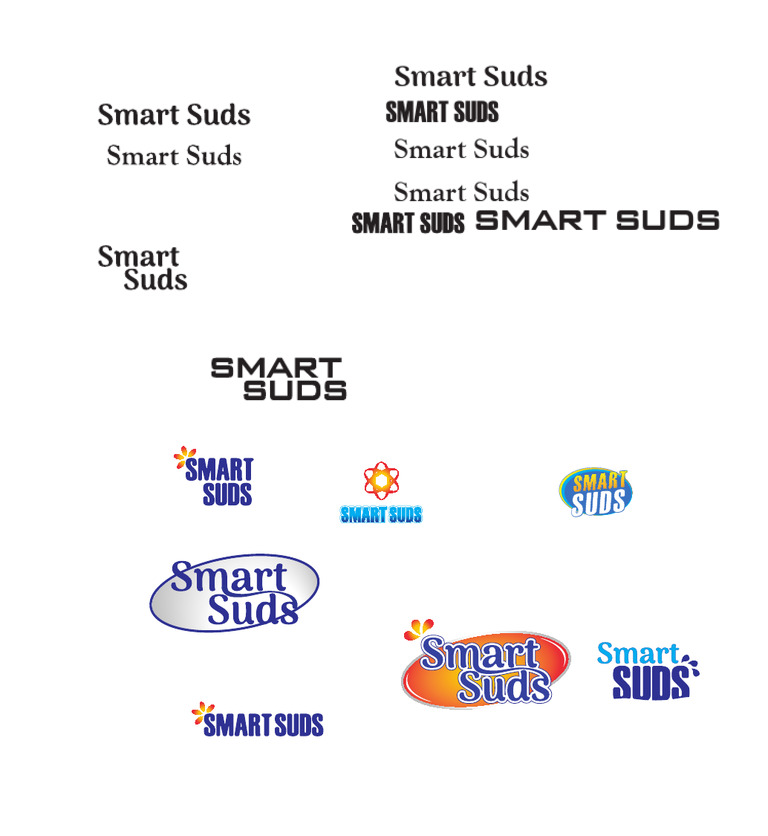 Smart Suds Logo | PDF