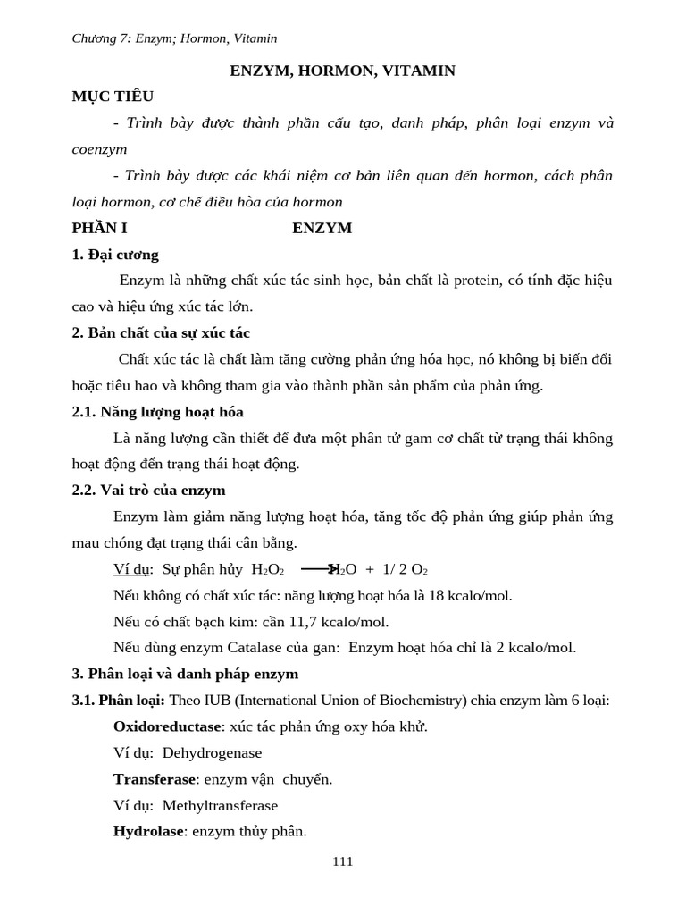 Enzym, Hormon, Vitamin | PDF