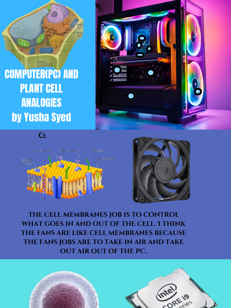 Computer and Cell Analogies | PDF