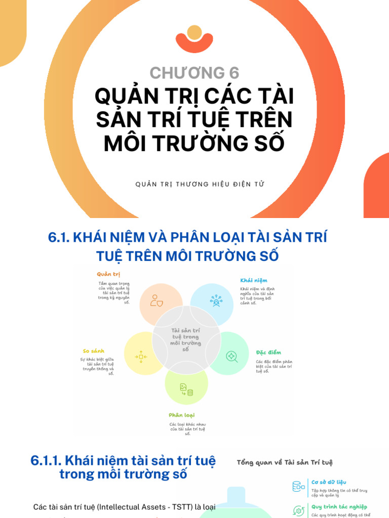 Tmpdizwg1 - Chuong 6 Quan Tri Cac Tai San Tri Tue Tren Moi Truong So | PDF